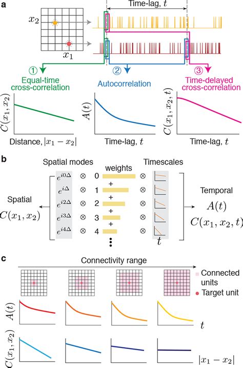 Spatial And Temporal Correlations In Neural Networks With Structured