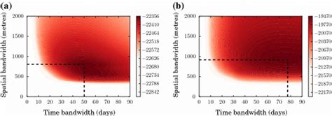 likelihood surfaces used to compute the optimal temporal and spatial