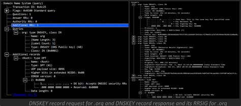 DNSSEC Domain Name System Security Extensions Explained Security Investigation