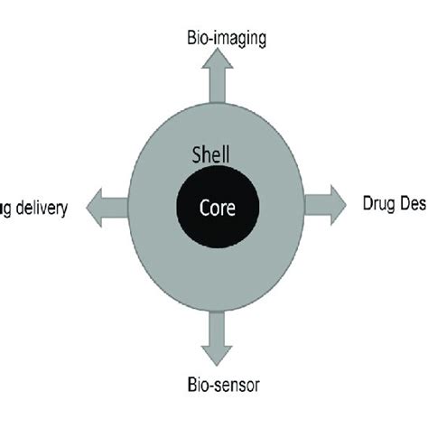 Biomedical Applications Of Core Shell Nanoparticles 11 Engineered Download Scientific Diagram