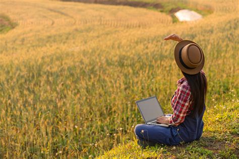 보리 밭에서 데이터를 분석하는 여성 농학자 여성 농부는 곡물 밭을 조사하고 태블릿에서 클라우드로 데이터를 보냅니다 스마트 농업과