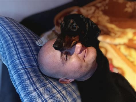 Active Electronically Scanned Array Rdachshund