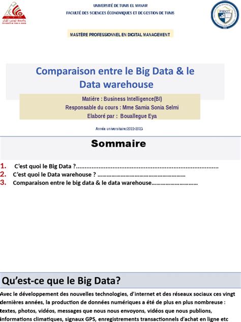 Comparaison Entre Le Big Data Et Le Datawarehouse Pdf Entrepôt De