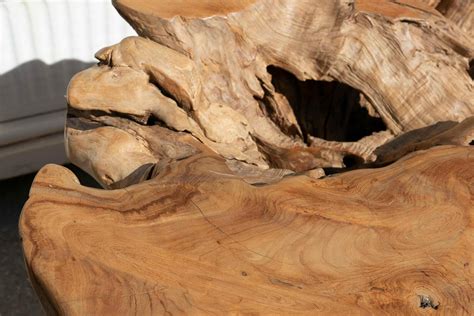 Tree Root Wood Table Base For Sale At 1stdibs