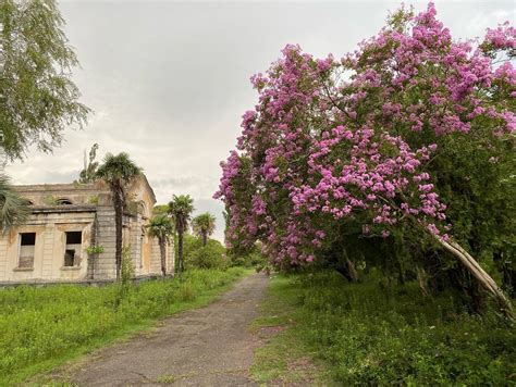 ფოტომოგზაურობა კურორტი მენჯი სამეგრელოში At