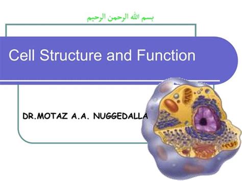 Cell Structuresdocx