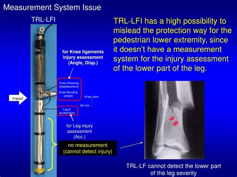 Ppt Information For The Flexible Pedestrian Legform Impactor Flex Pli Powerpoint