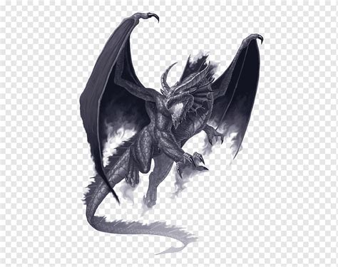 플라잉 드래곤 일러스트 던전 앤 드래곤 패스 파인더 롤 플레잉 게임 Shadow Dragon Monster Manual