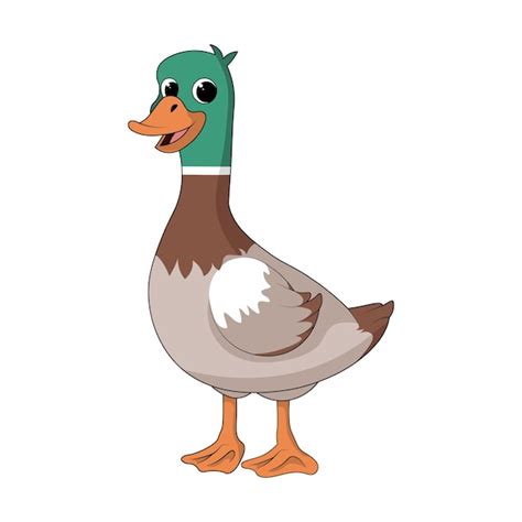 Premium Vector Female Mallard Duck Cartoon Clipart