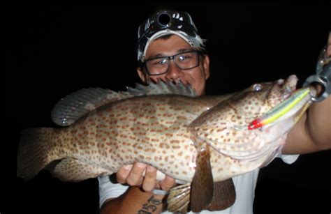 Ima Singapore: Our catches on Ima Flit 120