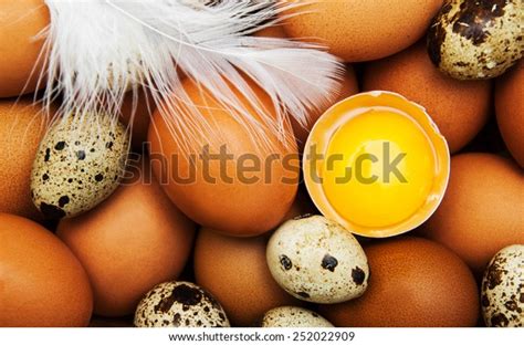Different Types Eggs Food Background Stock Photo Shutterstock