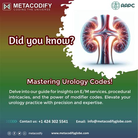 Urology Billing Guide Em Services Metacodify Posted On The Topic