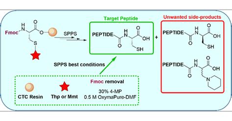 Solid Phase Synthesis Of C Terminus Cysteine Peptide Acids Organic