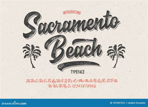 Brush Script Calligraphy Cursive Type Handwritten Vector Aphabet Hand