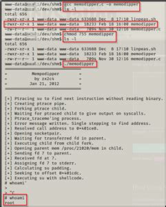 Kernel Exploits Linux Privilege Escalation