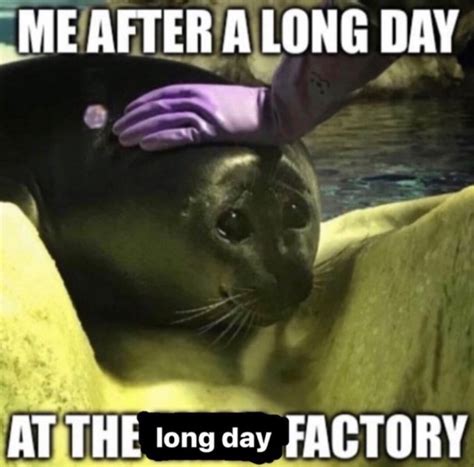 Me After A Long Day At The Long Day Factory Long Day Factory Know