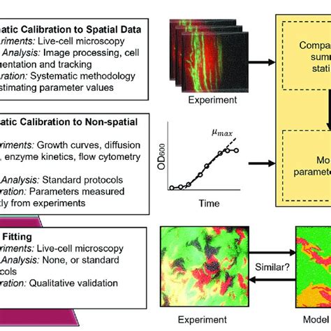 Model Calibration Techniques For Spatiotemporal Models Of Microbial