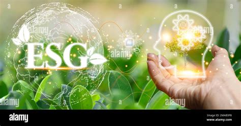 the concept of combining artificial intelligence systems with nature