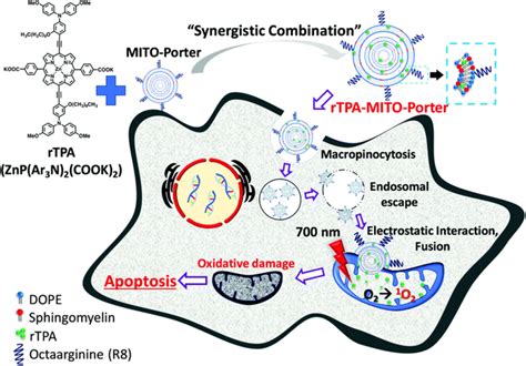 Synergistic Interaction Between The Nir Photosensitizer Tpa And The