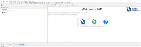Understanding Owasp Zap Proxy A Comprehensive Guide Techarry