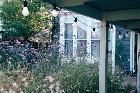 A Beginners Guide To Botanical Plant Names — Unearthed