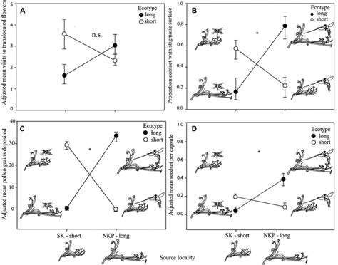 Reciprocal Translocations On Subcomponents Of Female Fitness Designed