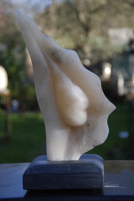 Shell Form By Martin Smith