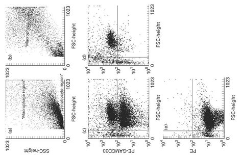 Isolation And Phenotypic Characterization Of Colonic Macrophages Pmc