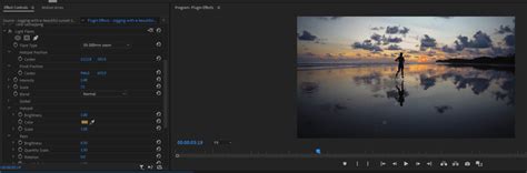 Using Plugin Effects In Your Video Editor Motion Array