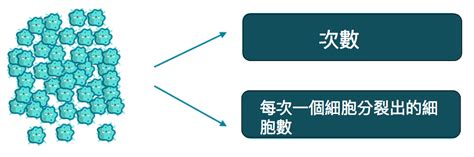 認識演算法（algorithm）與運算思維（computational Thinking）｜alpha Camp Blog