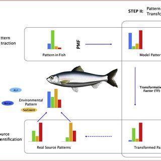 Conceptual Illustration Of The Three Step Source Tracing Process Used Download Scientific