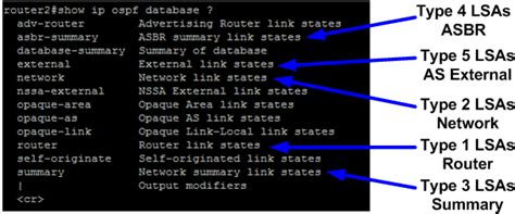 Ospf Becoming One With The Lsdb… Das Blinken Lichten