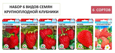 Семена Клубники Гигантелла – купить цветы и растения на OZON по ...