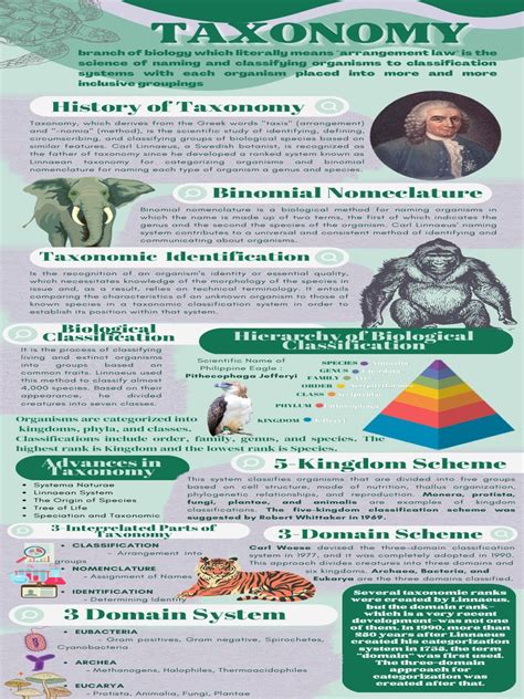 Taxonomy Infographic Pdf Taxonomy Biology Scientific Classification