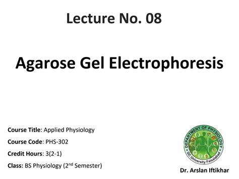 Solution Lecture 8 Gel Electrophoresis Ppt Studypool