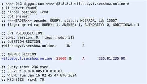 Secshow Hackers Exploiting Open Dns Resolvers To Attack Organization Worldwide