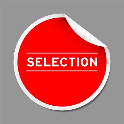 Red Color Inserted Label Banner With Word Vector Image