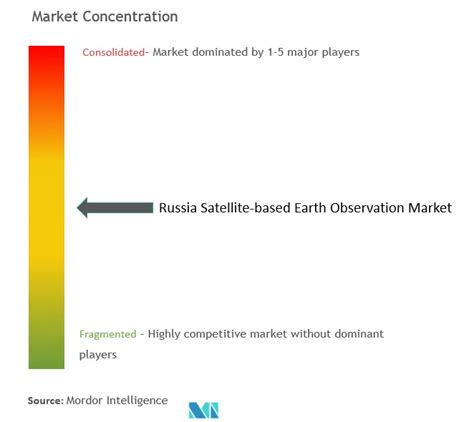 Russia Satellite Based Earth Observation Market Share