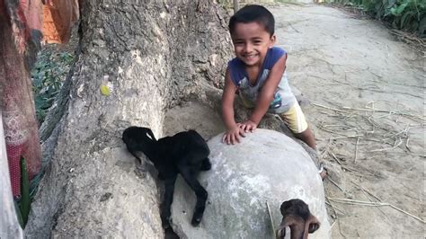ছাগল ছানা নিয়ে খেলছে Youtube