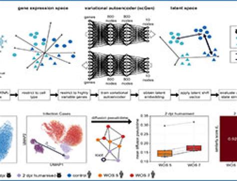 Characterization Of Long Non Coding Rna Transcriptome In Clear Cell