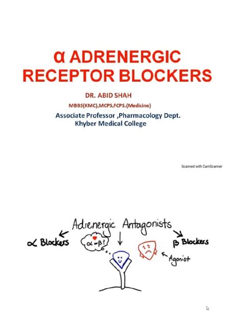 Sympatholytics 1 Pdf Sympatholytics 1 Pdf