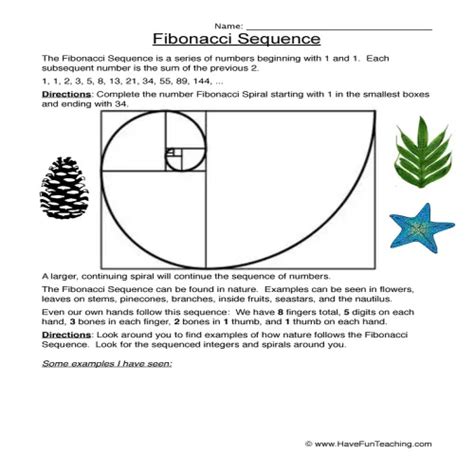 Fibonacci Sequences Worksheet Examples By Teach Simple