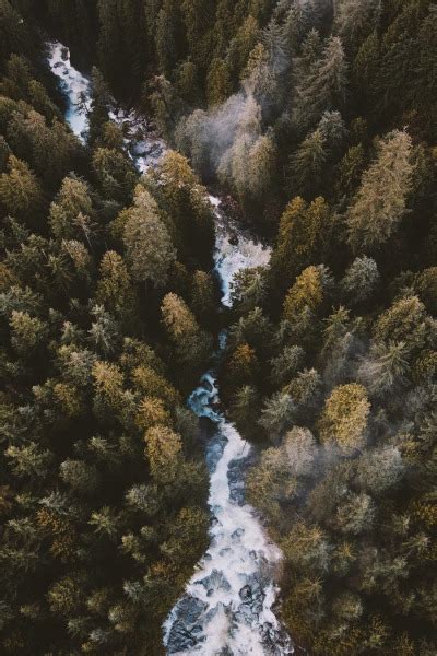 Lonebearcub Tumblr Com Tumbex