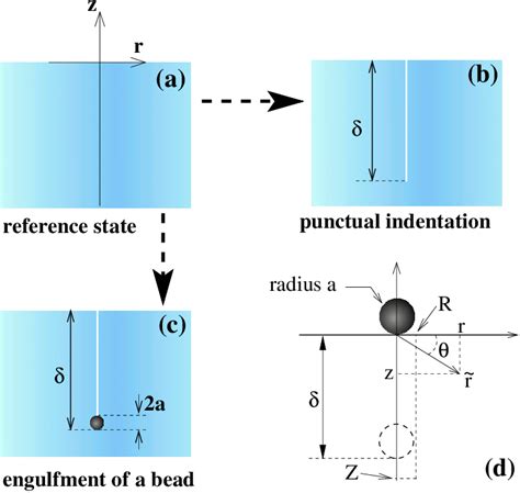 Sketches Corresponding To The Steps Of The Calculation Of The Elastic Download Scientific