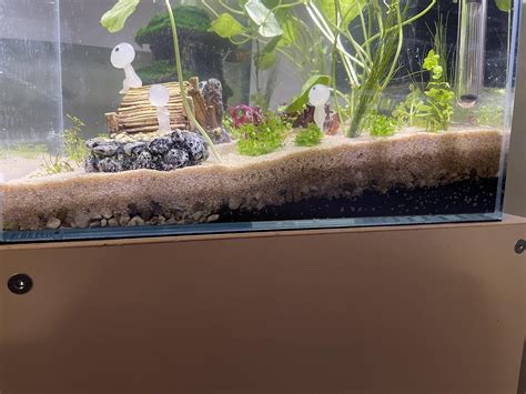How To Layer Substrate In Aquarium Essential Tips