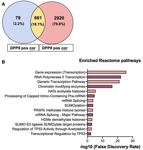 Enriched Reactome Pathways Of Genes That Were Positively Correlated