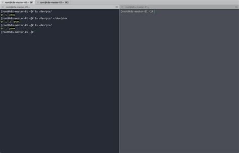 Tty Pty Pts Ptmx伪终端反弹shell Csdn博客