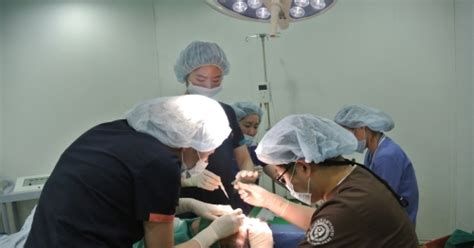 헤어라인·눈썹·구레나루·수염 이색부위 모발이식