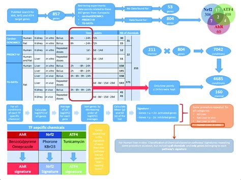 Methods Summarizing Workflow Download Scientific Diagram