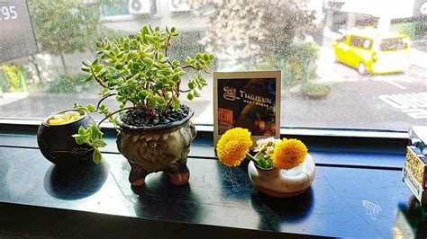 타이선 Thaisun 목요일 써니 사이드 햇빛 밝은 쪽을 향해 기분 업 하는 하루